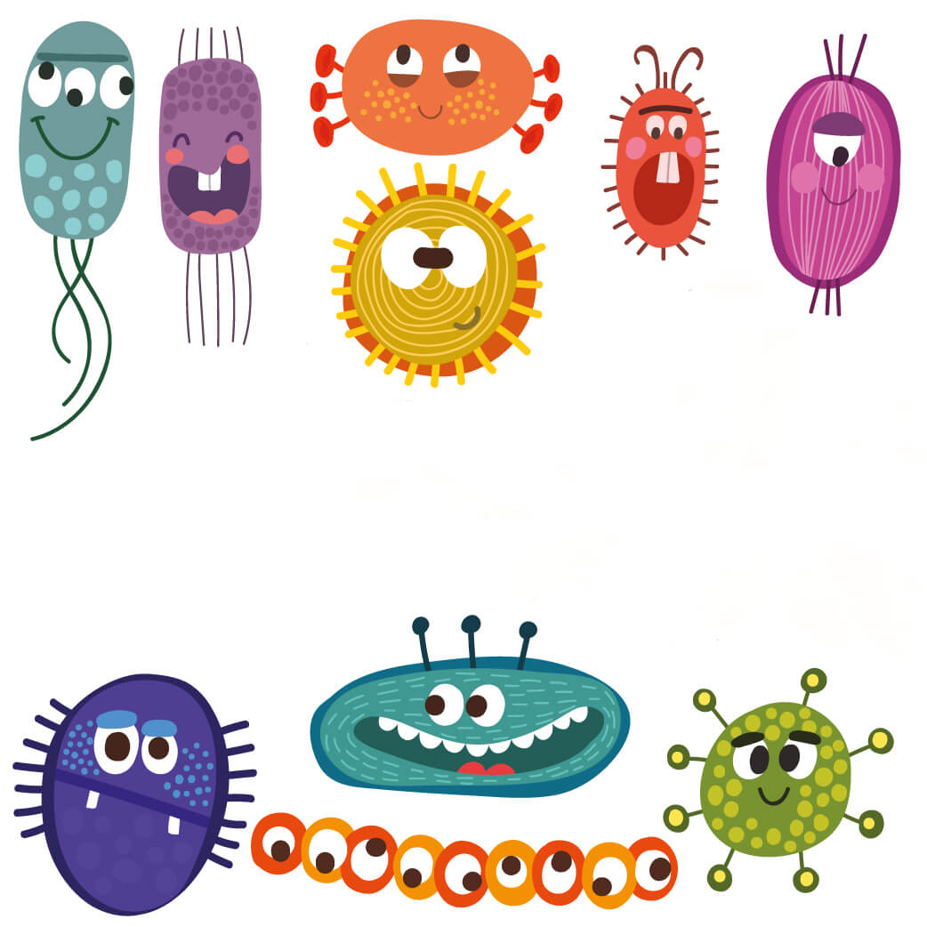 A normál bélflóra - Bethesda Gyermekkórház